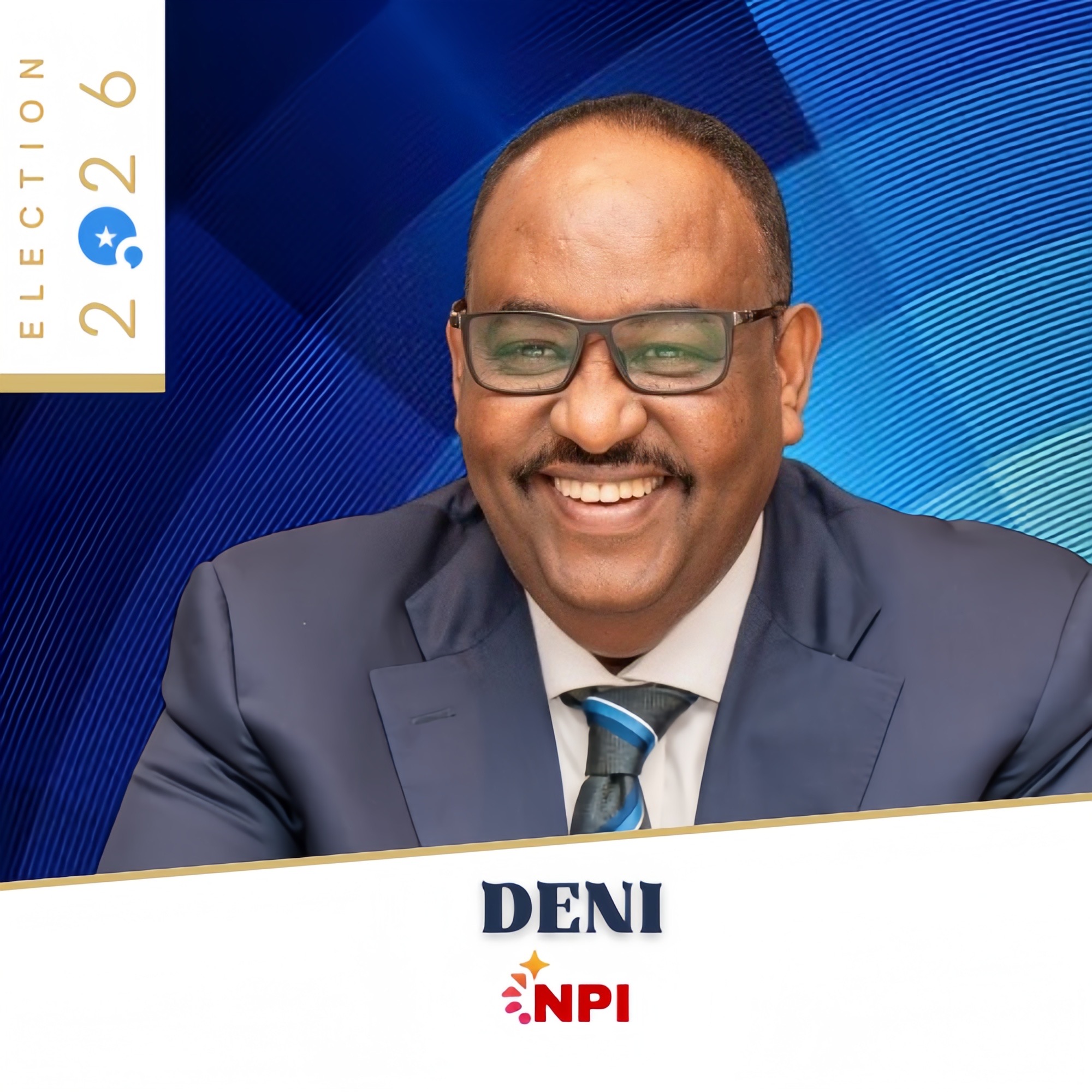 National Public Insight - NPI Somalia
